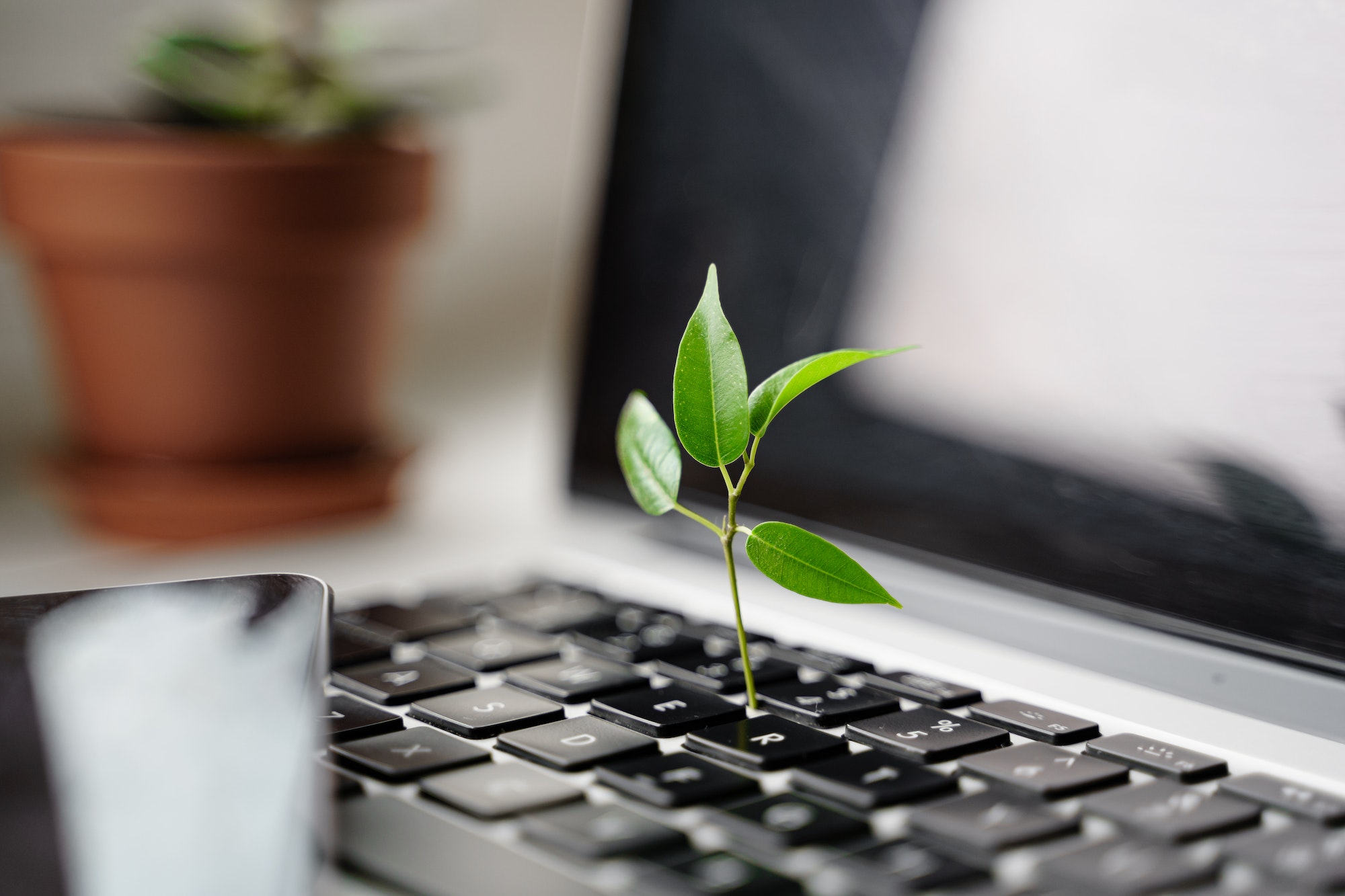 Circular Computing for a Sustainable Future | Rentwise